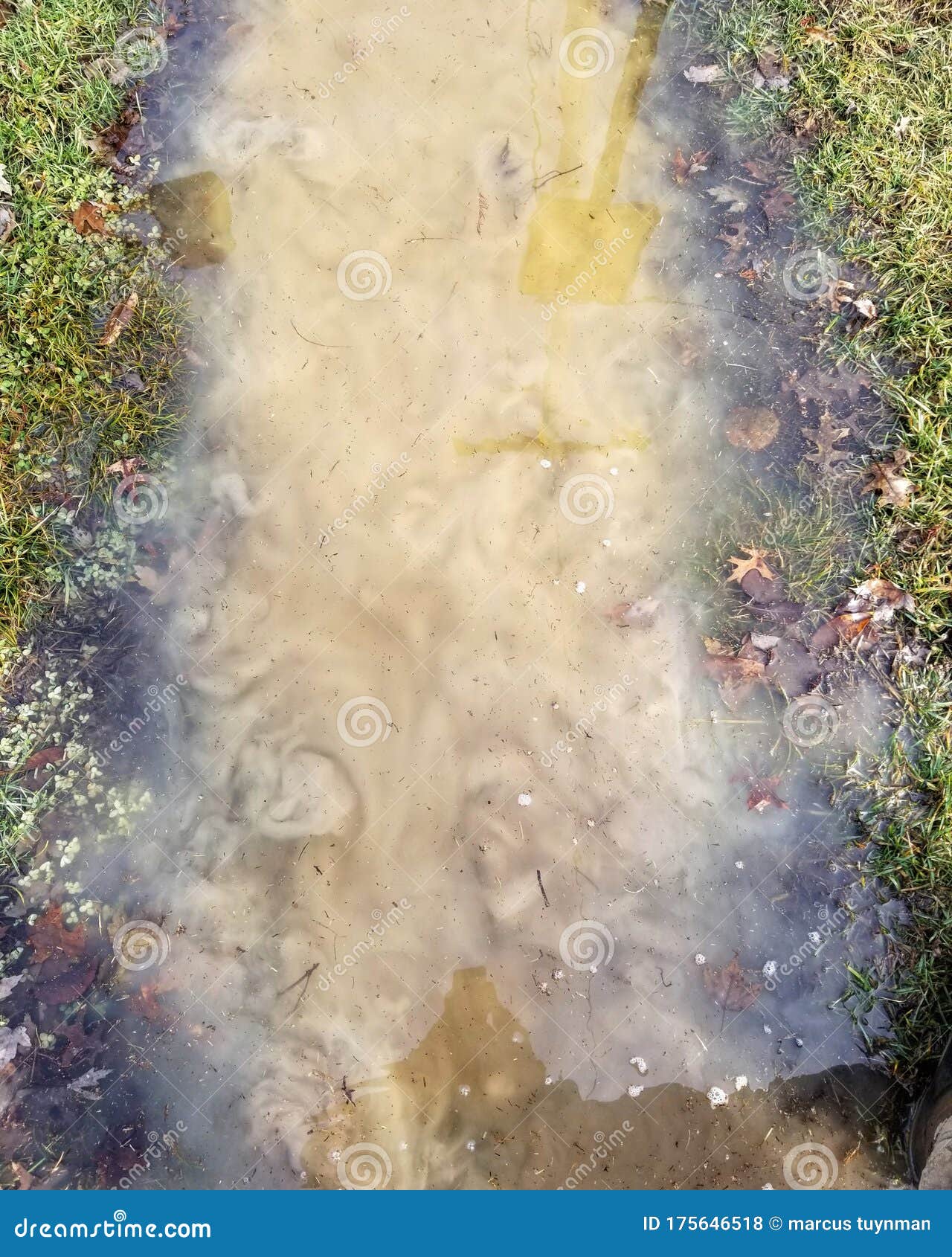 Water mud flow stock photo. Image of swirl, leaves, flow - 175646518