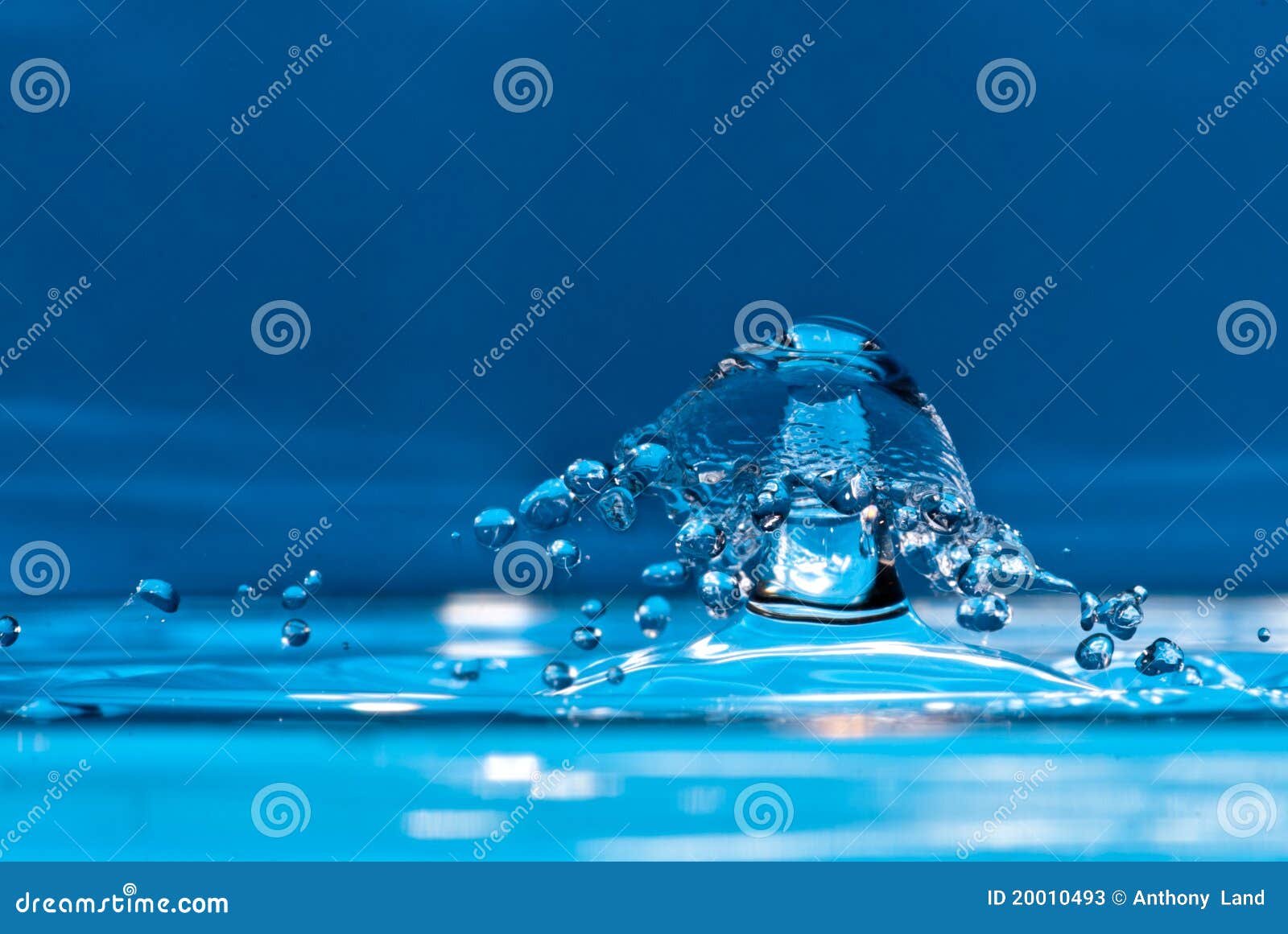 Water Mushroom stock image. Image of particle, teardrop - 20010493
