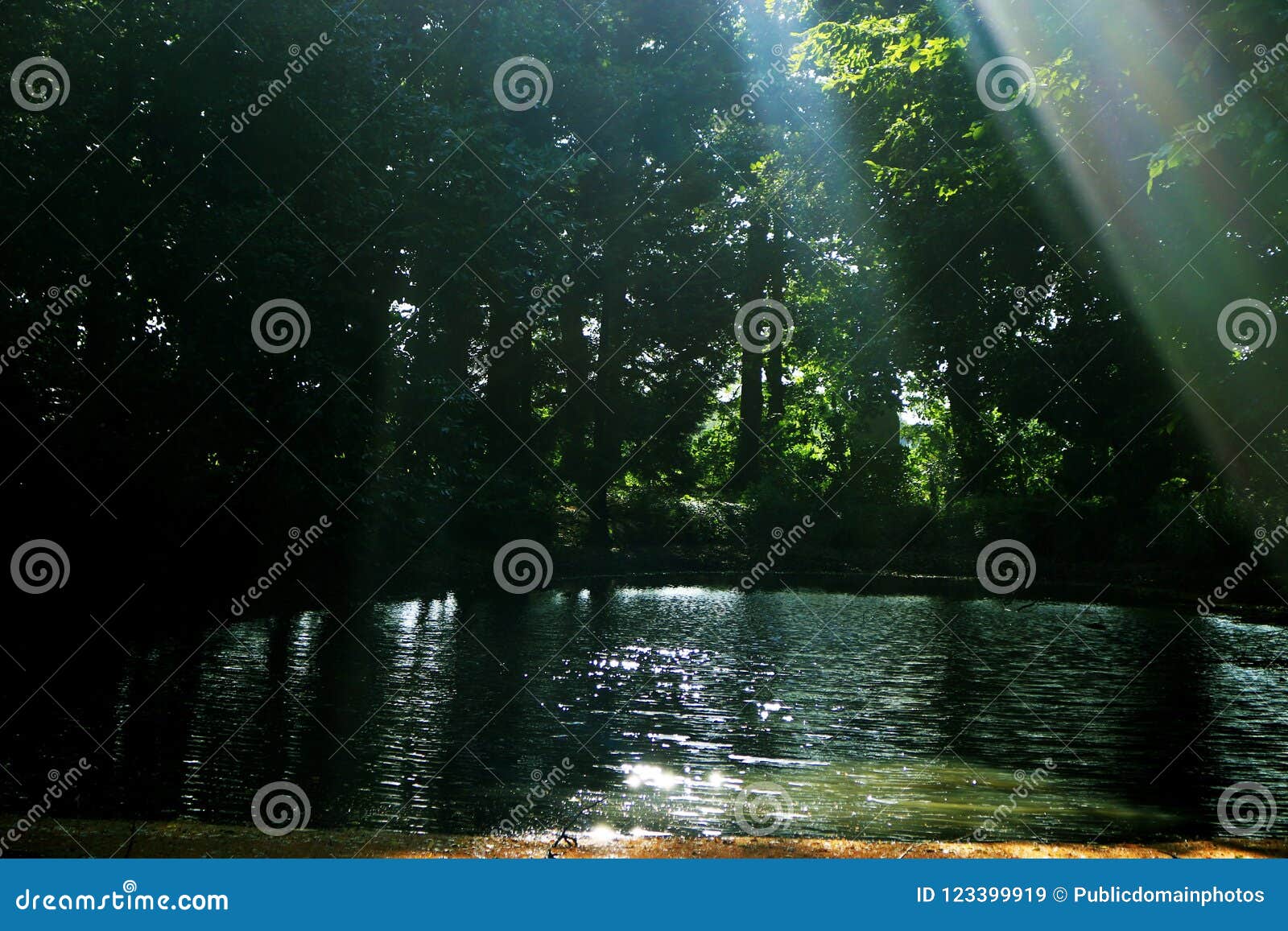 Water, Nature, Green, Reflection Picture. Image: 123399919