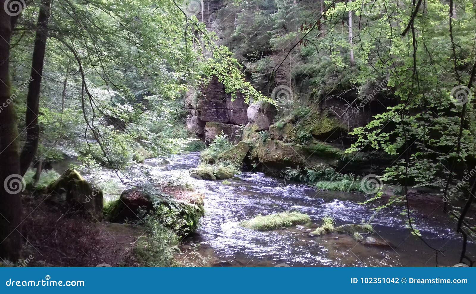 Water, nature stock photo. Image of water, rocks, small - 102351042