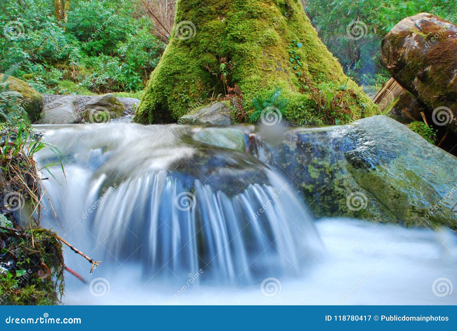 Water, Nature, Waterfall, Watercourse Picture. Image: 118780417