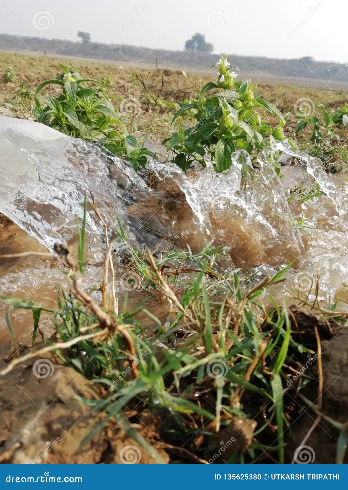 Water stock photo. Image of flowing, outside, pipe, nice - 135625380