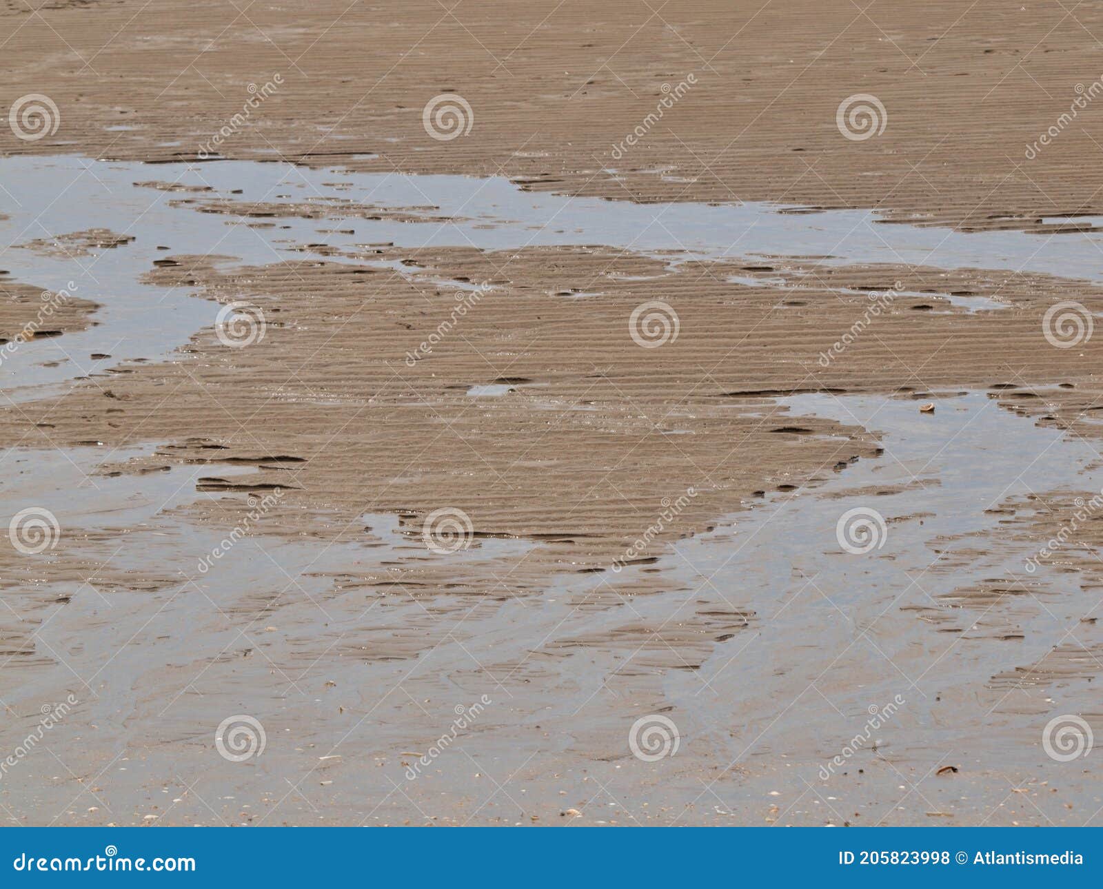 Texture - Sand and Water on the Beach Stock Photo - Image of brown ...