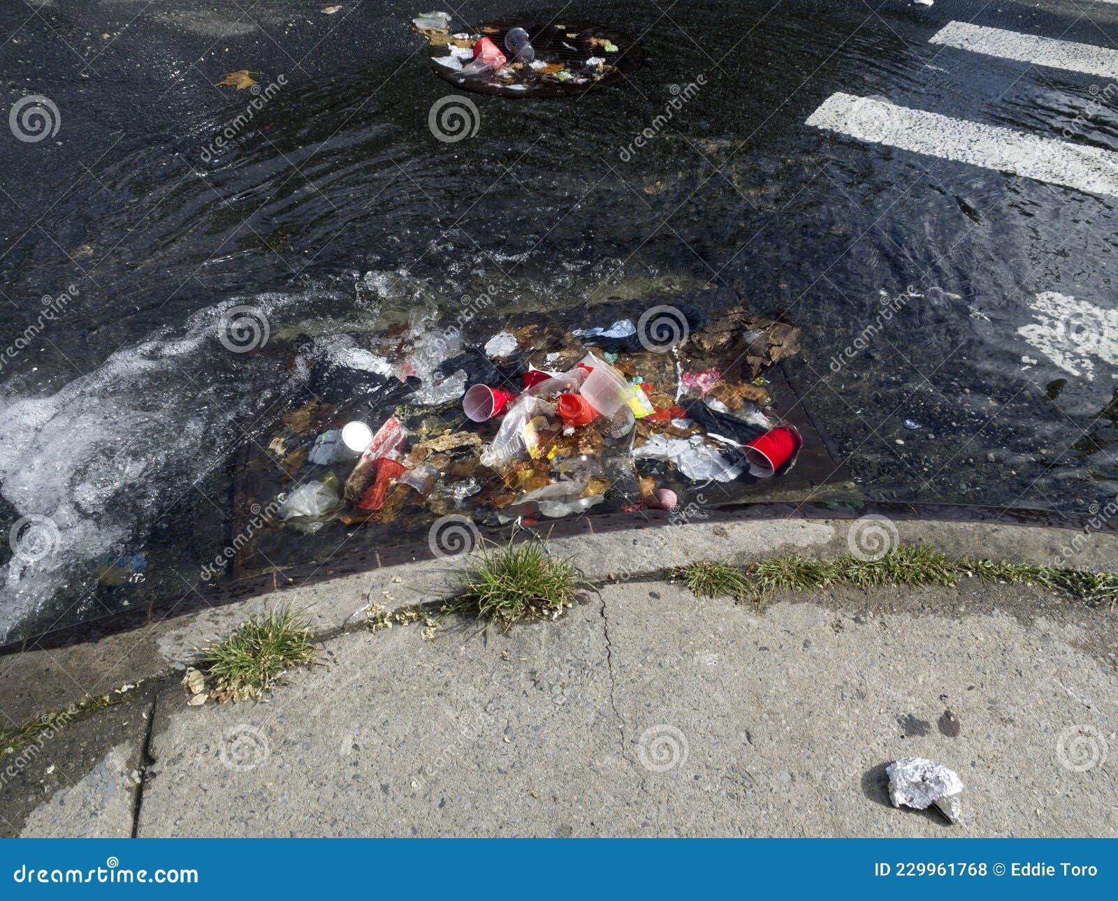Sewer And Drain Lines Stake Flag Buried Underground Utility Stock Photo ...