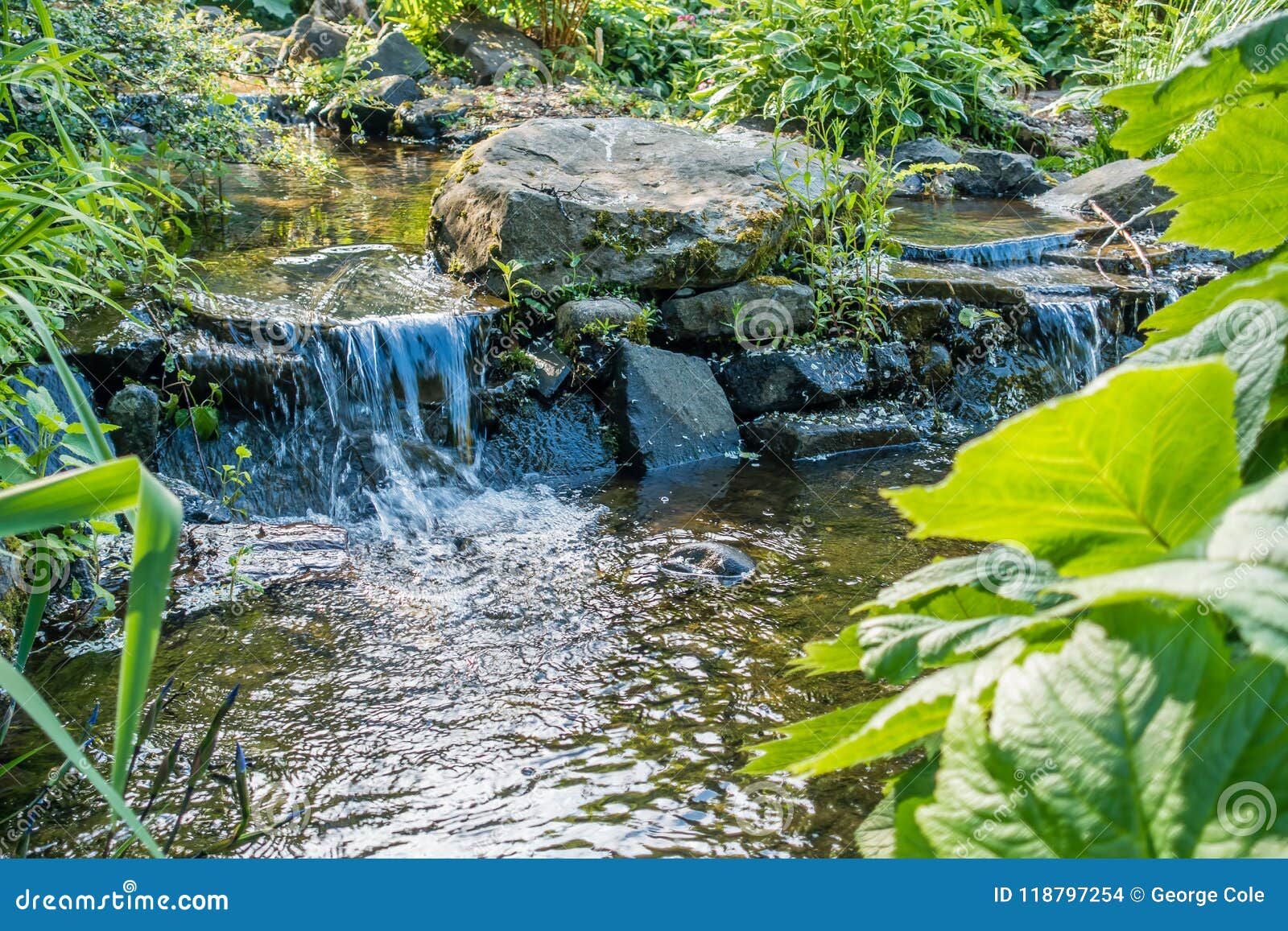 Water Over Ledge stock photo. Image of ledge, nature - 118797254
