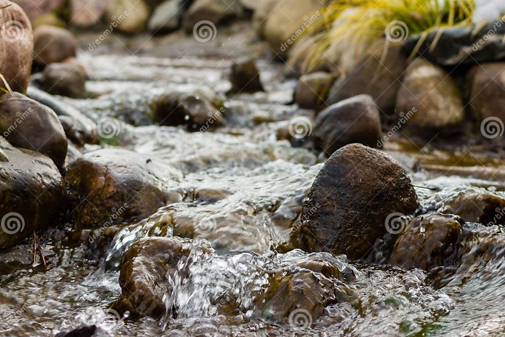 Water Over Rocks in a Stream Stock Image - Image of rocks, brook: 100465841