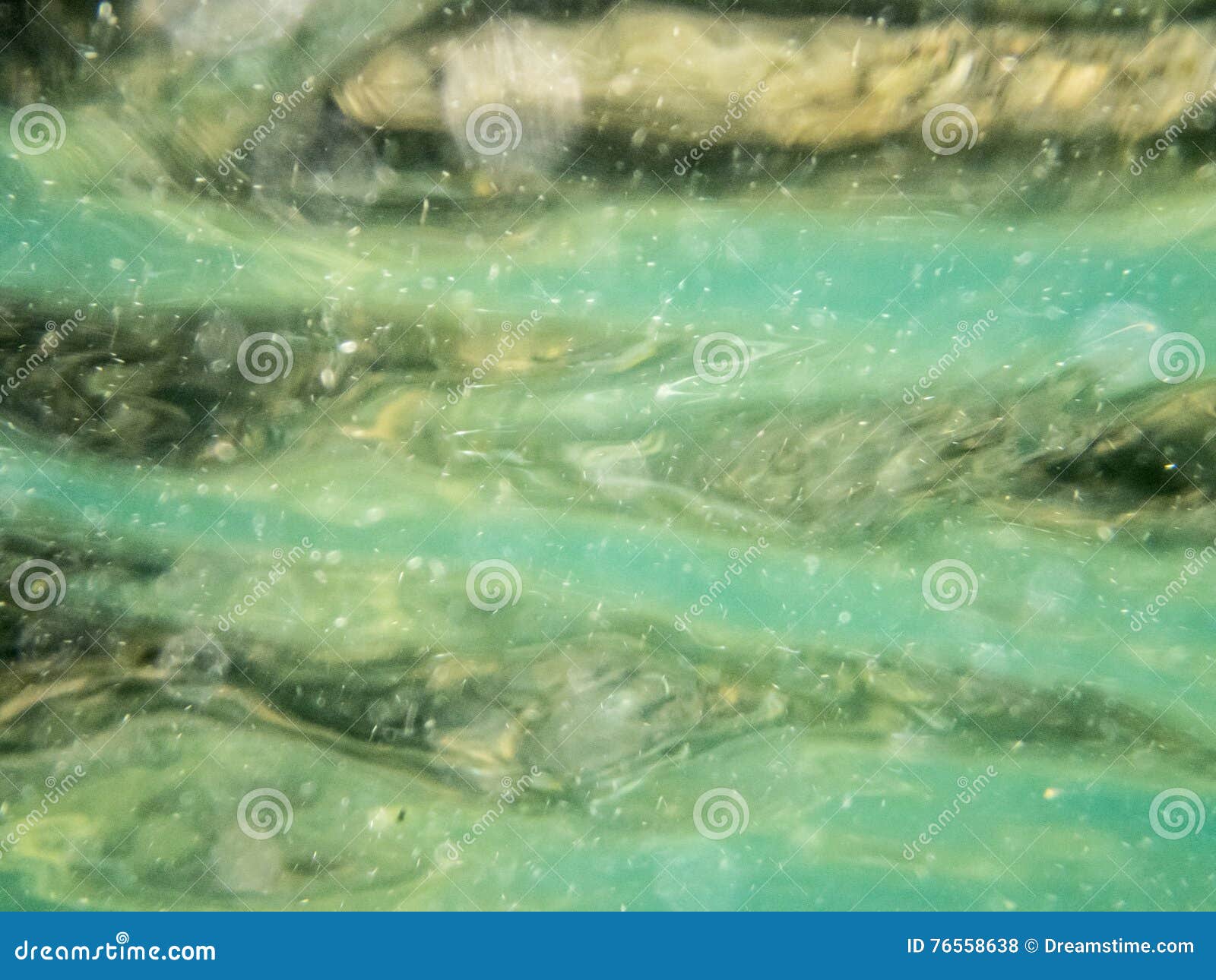 Water particles stock photo. Image of bubbles, particles - 76558638