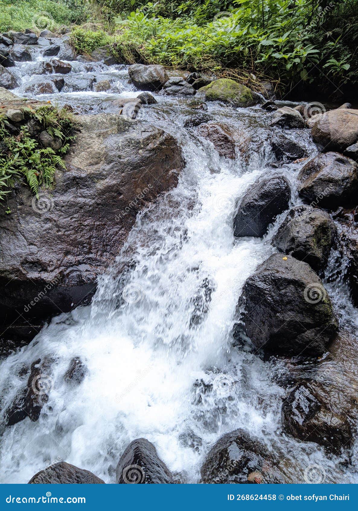 Water Passing Over the Rocks in the River Stock Photo - Image of tree ...