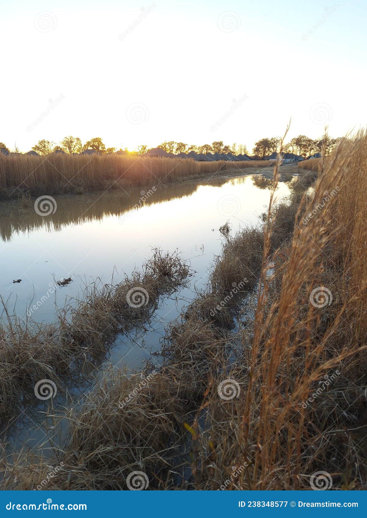 Water Pathway by Wheat Field Stock Image - Image of pathway, leaf ...