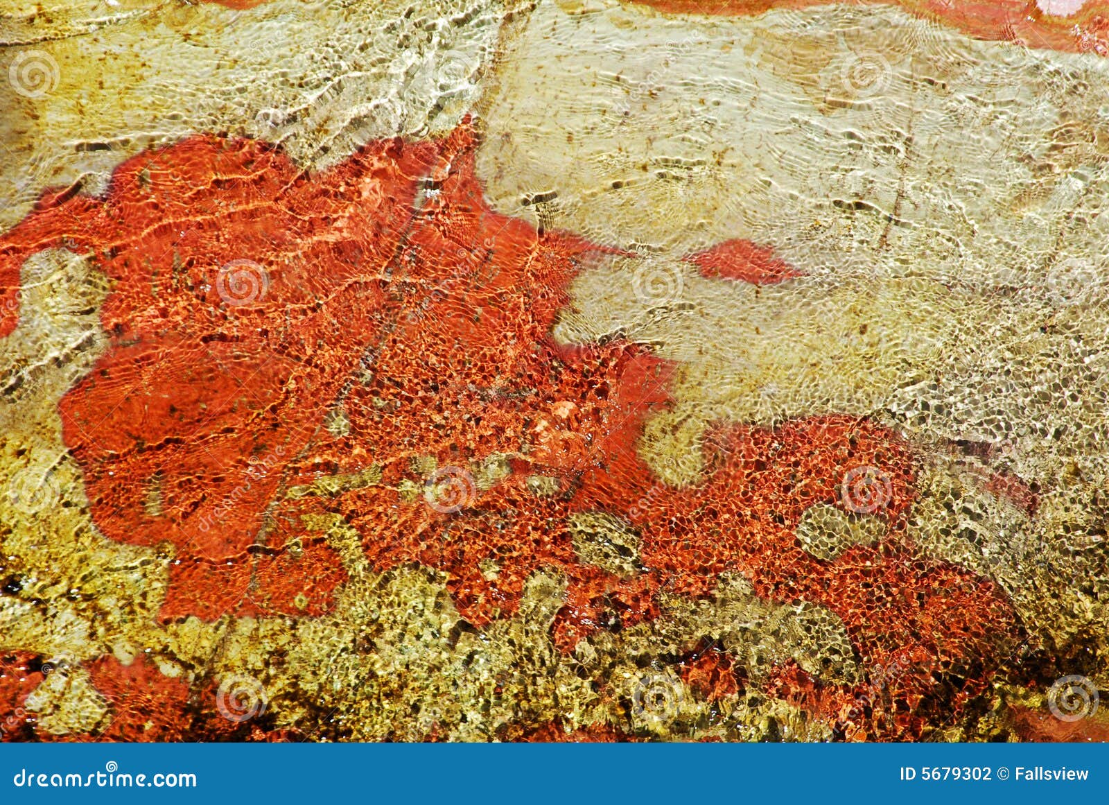 Water Pattern in Red Rock Canyon Stock Photo - Image of pattern, rock ...