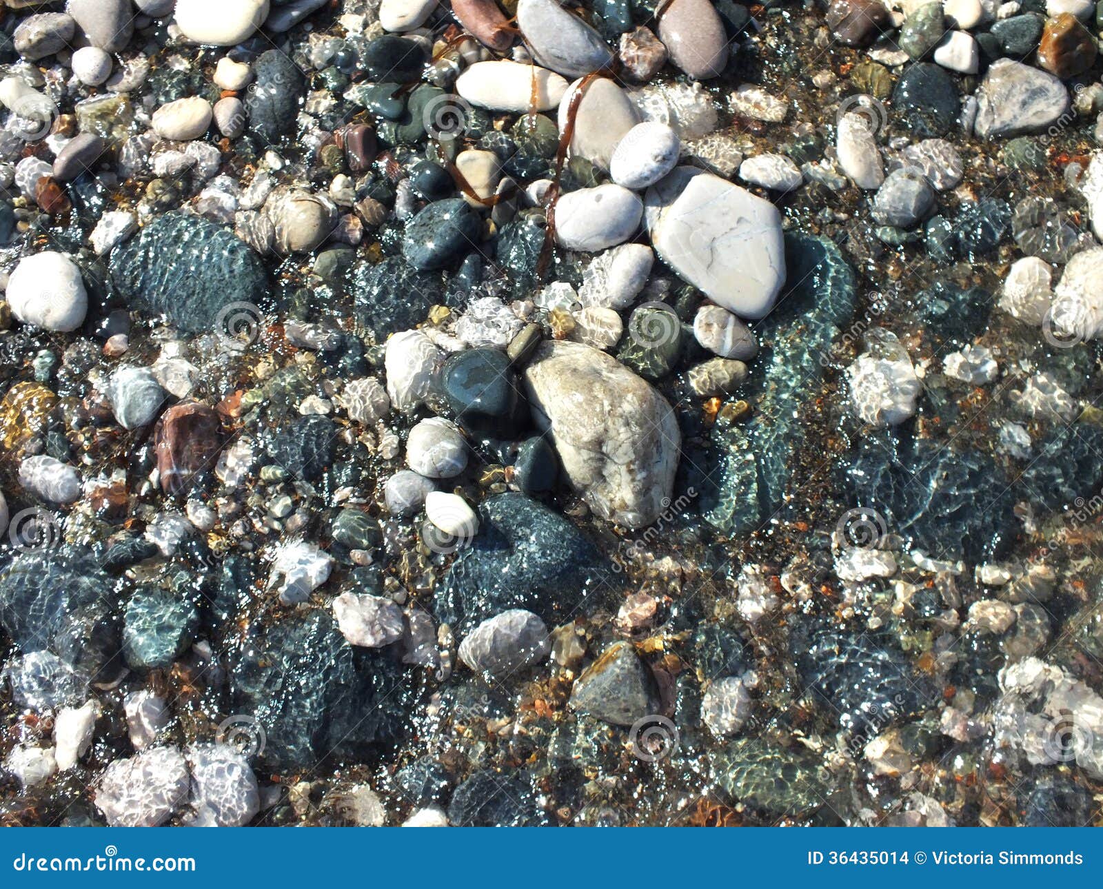 Water on pebbles stock photo. Image of ripple, water - 36435014