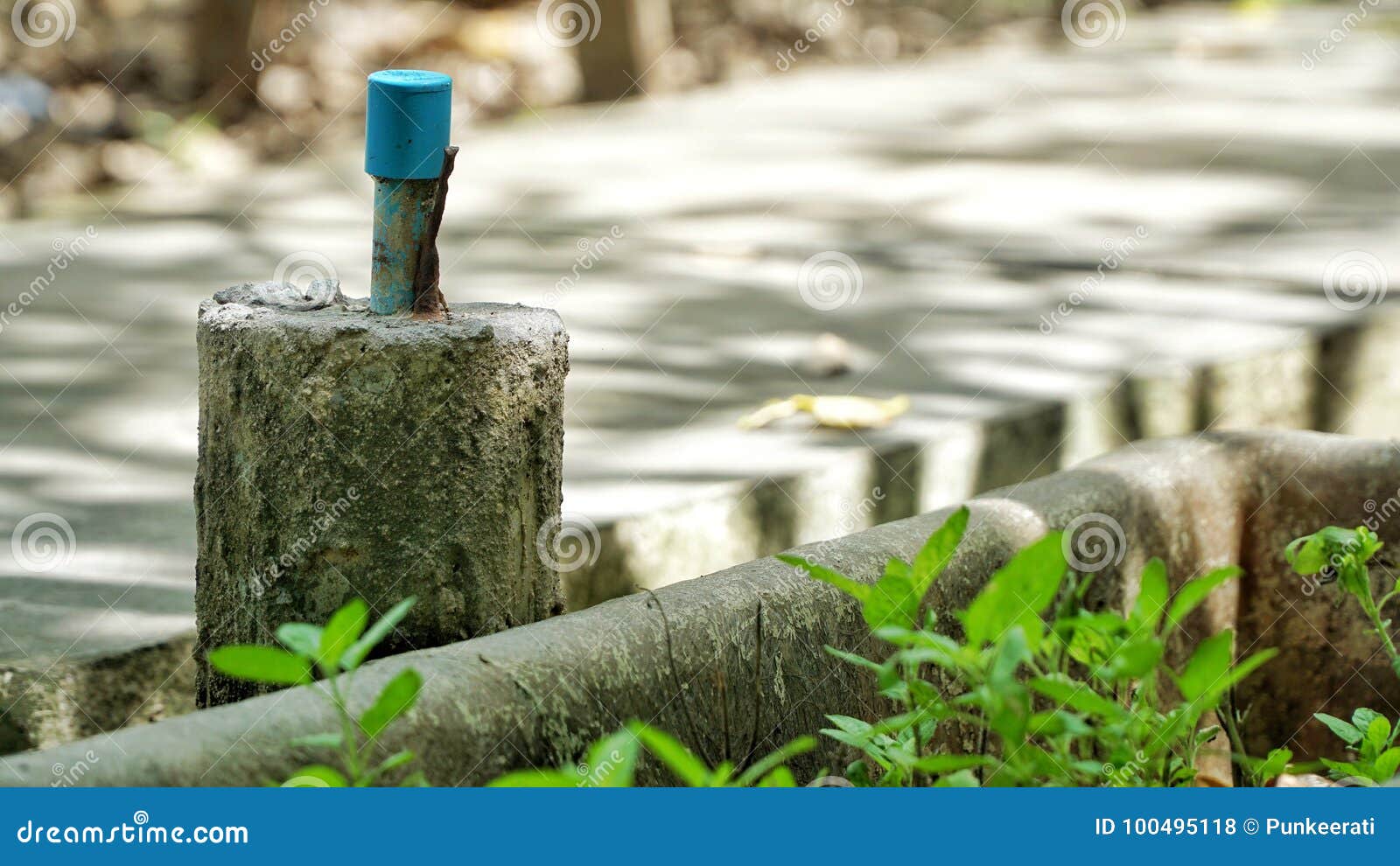 Water pipe in the garden stock photo. Image of garden - 100495118