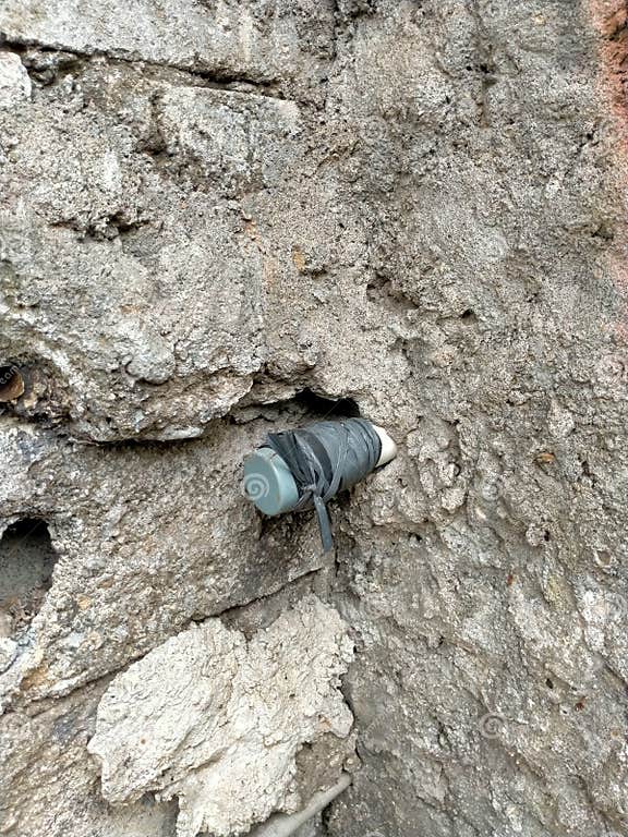 Water Pipe Stuck To the Wall Stock Image - Image of wall, tree: 265016971