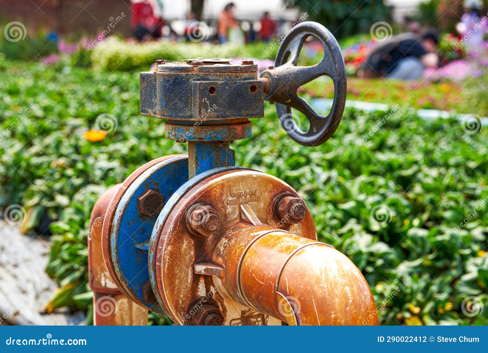 Water Pipe Switch Valve for Irrigation in the Garden Stock Photo ...