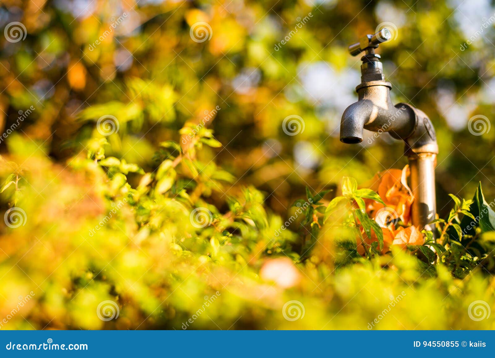 Water pipes stock image. Image of light, grass, float - 94550855