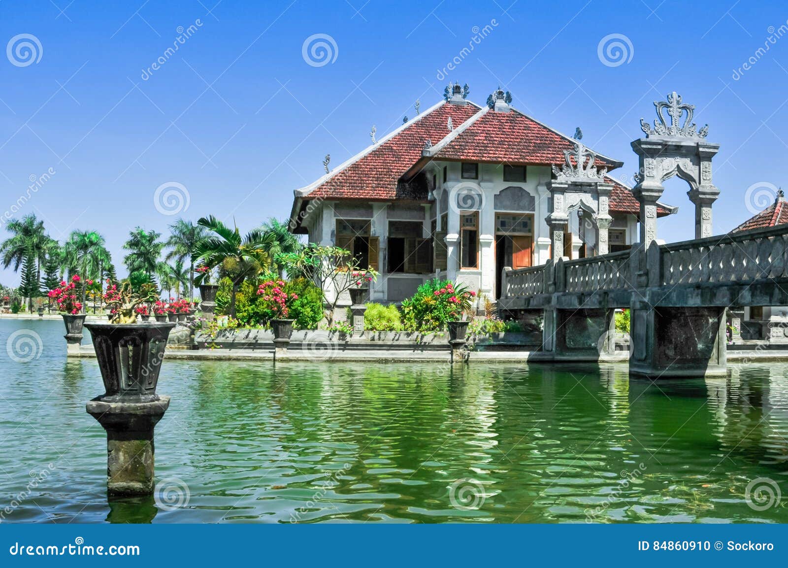 Water Place In Park. Water Park In Jungle. Park Of Sea. Place Under ...