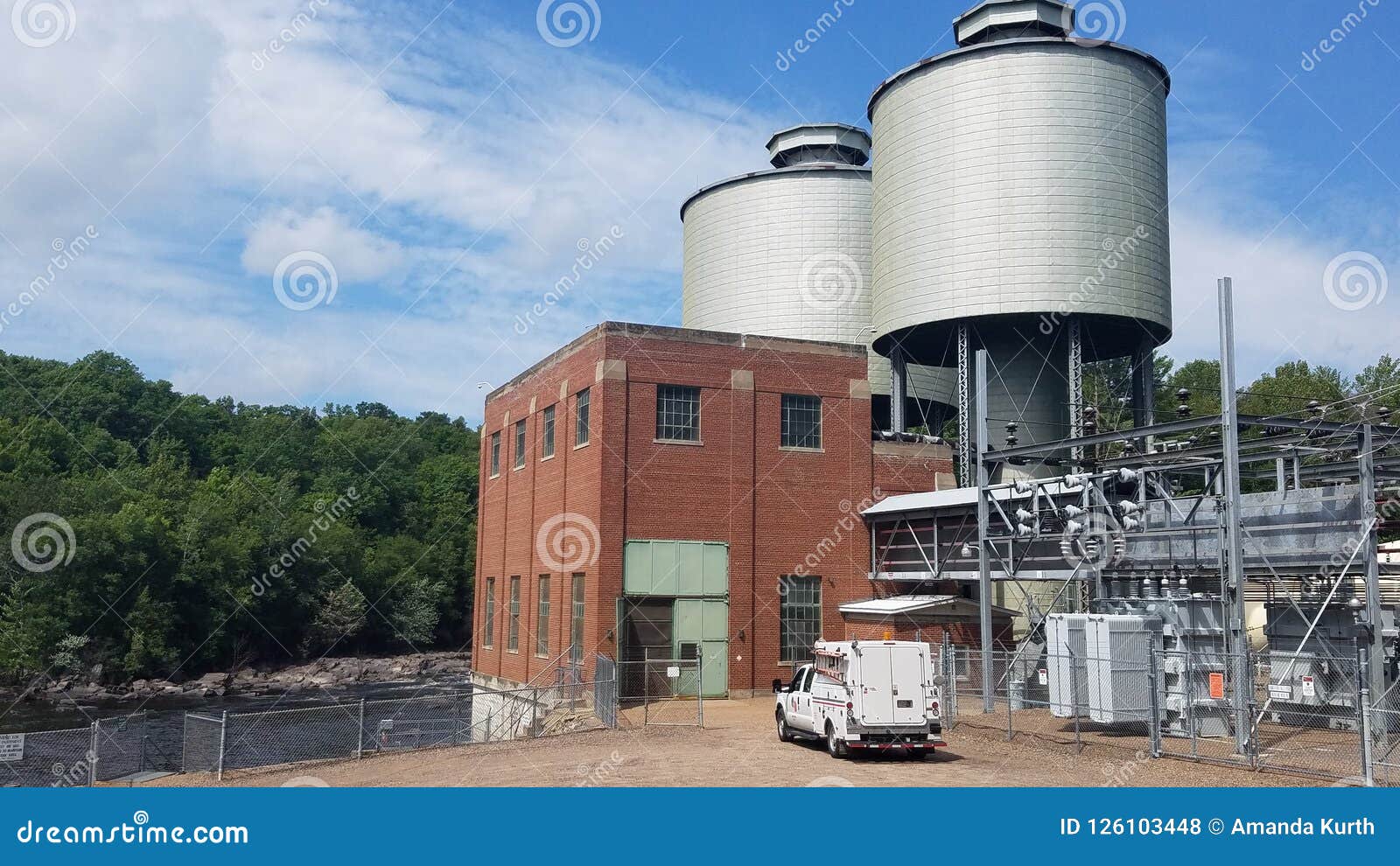 Water plant stock photo. Image of plant, damn, electric - 126103448