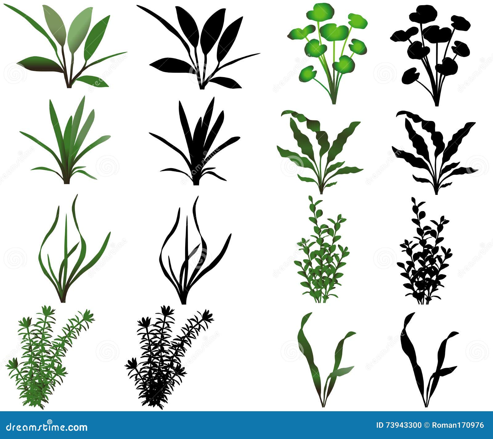 Water Plants Vector Illustration | CartoonDealer.com #73943300