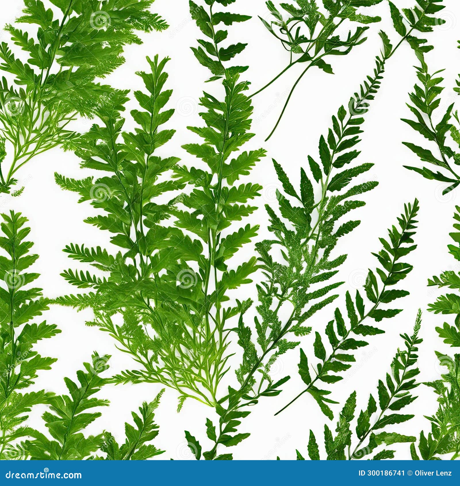 Water Plants, Isolated in Front of a White Background, AI Generated ...