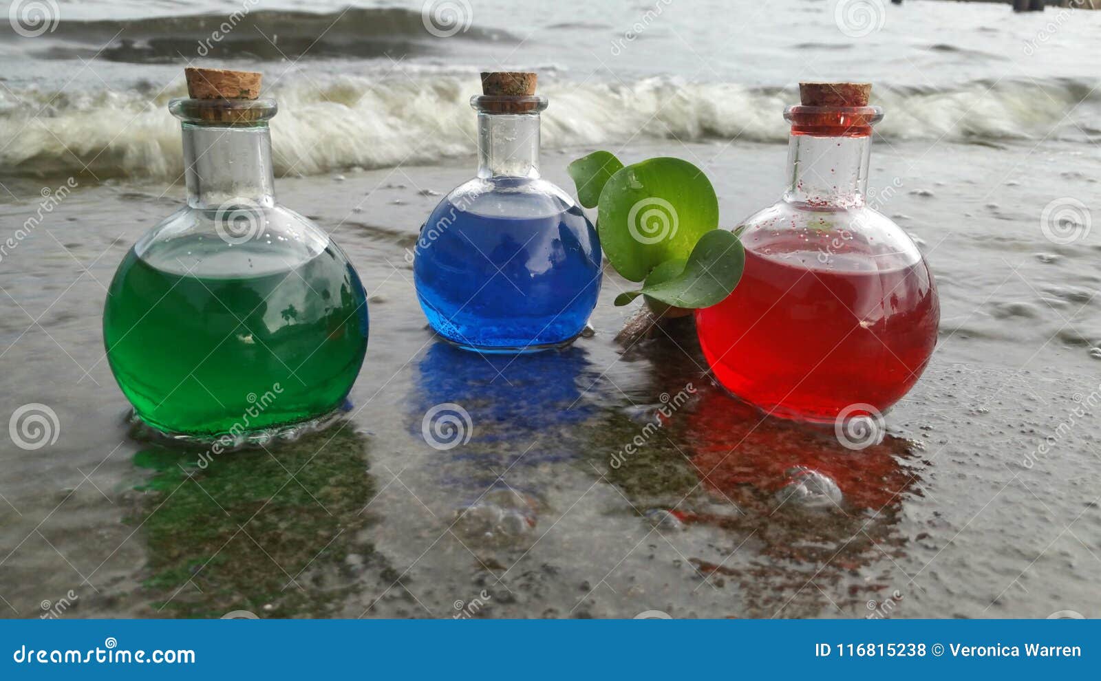 Potion splash stock photo. Image of potion, plants, water - 116815238