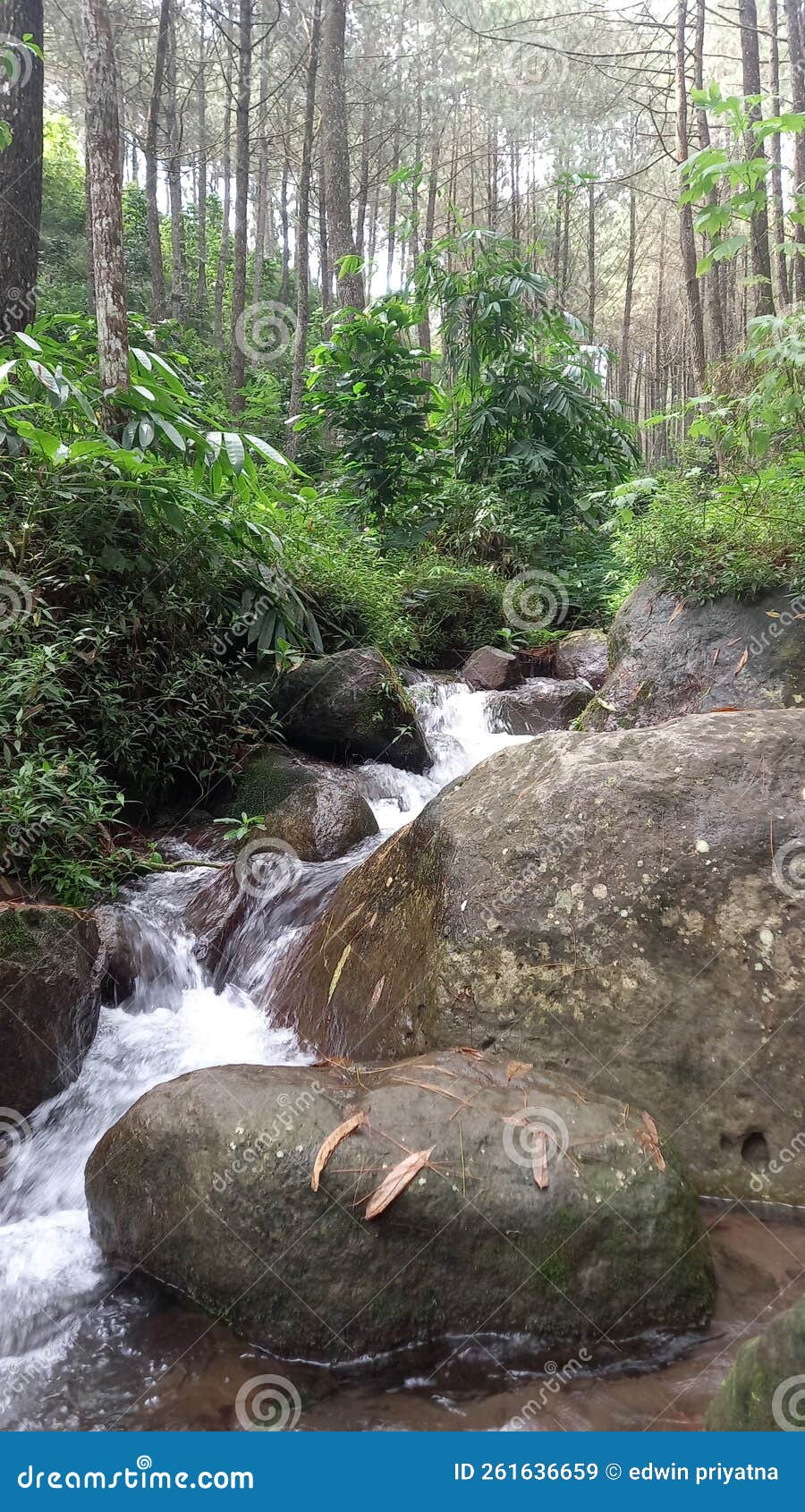 Water and Plants are the Source of Human Life Stock Image - Image of ...