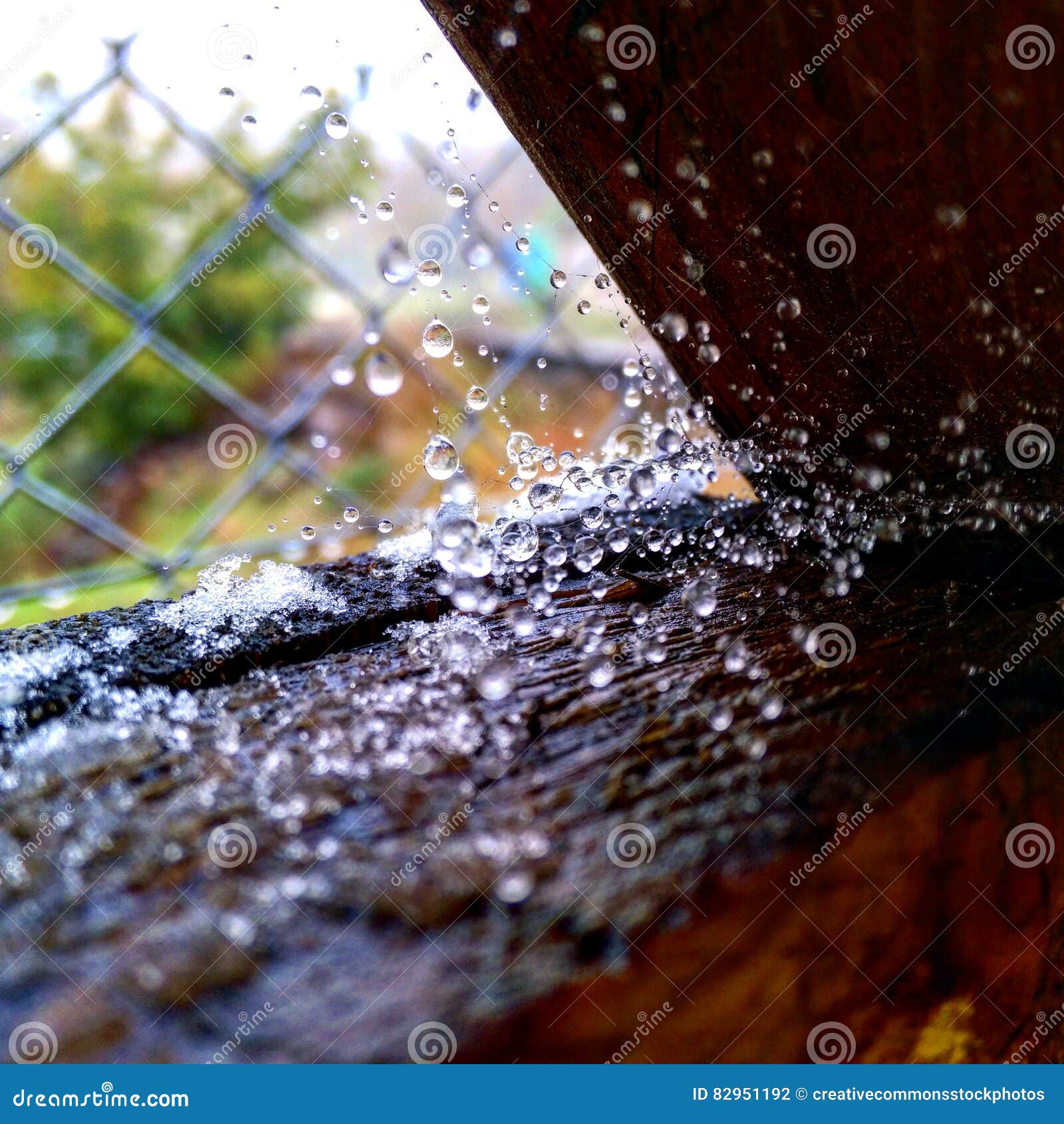 Water Plash Picture. Image: 82951192