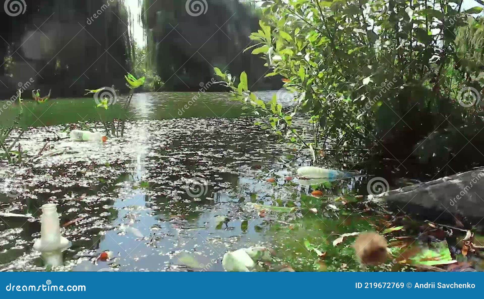 Water Polluted. Plastic Bottle and Others Junks Polluting the Water ...