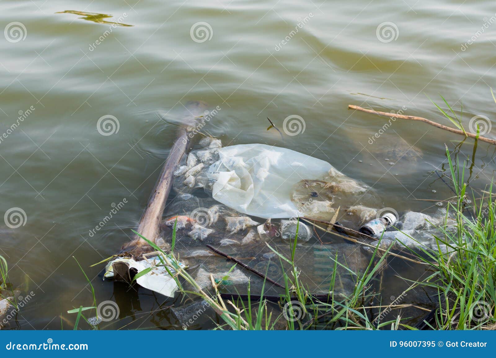 Water that is Polluted with Various Garbage Stock Image - Image of ...