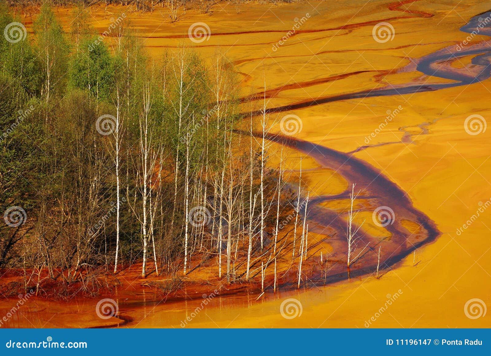 Water pollution stock image. Image of dangerous, global - 11196147