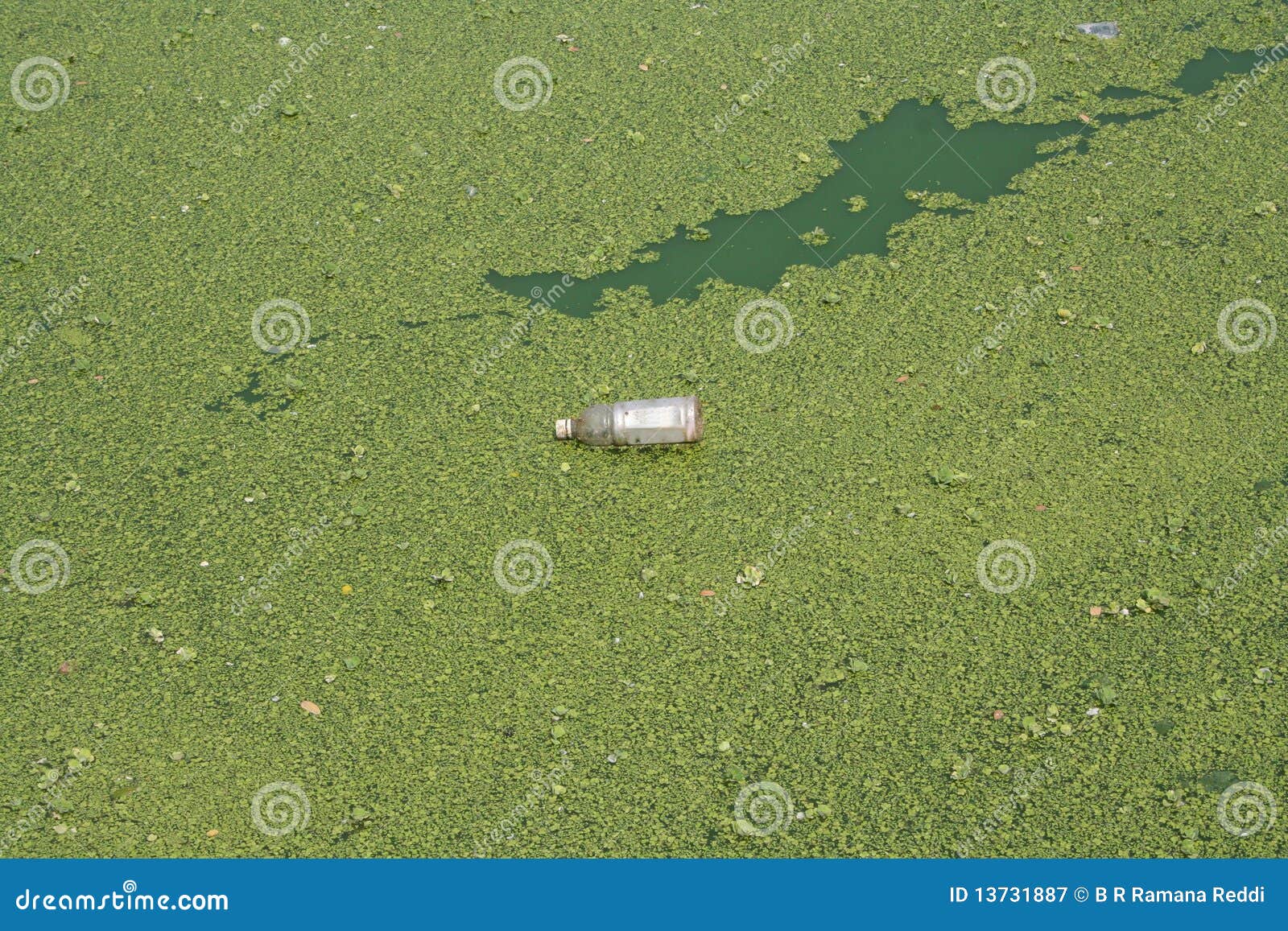 Water Pollution stock image. Image of environment, health - 13731887