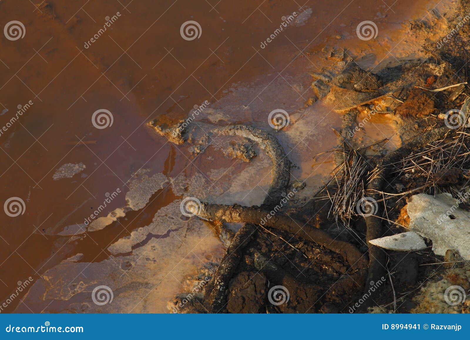 Water pollution stock image. Image of waste, death, liquid - 8994941