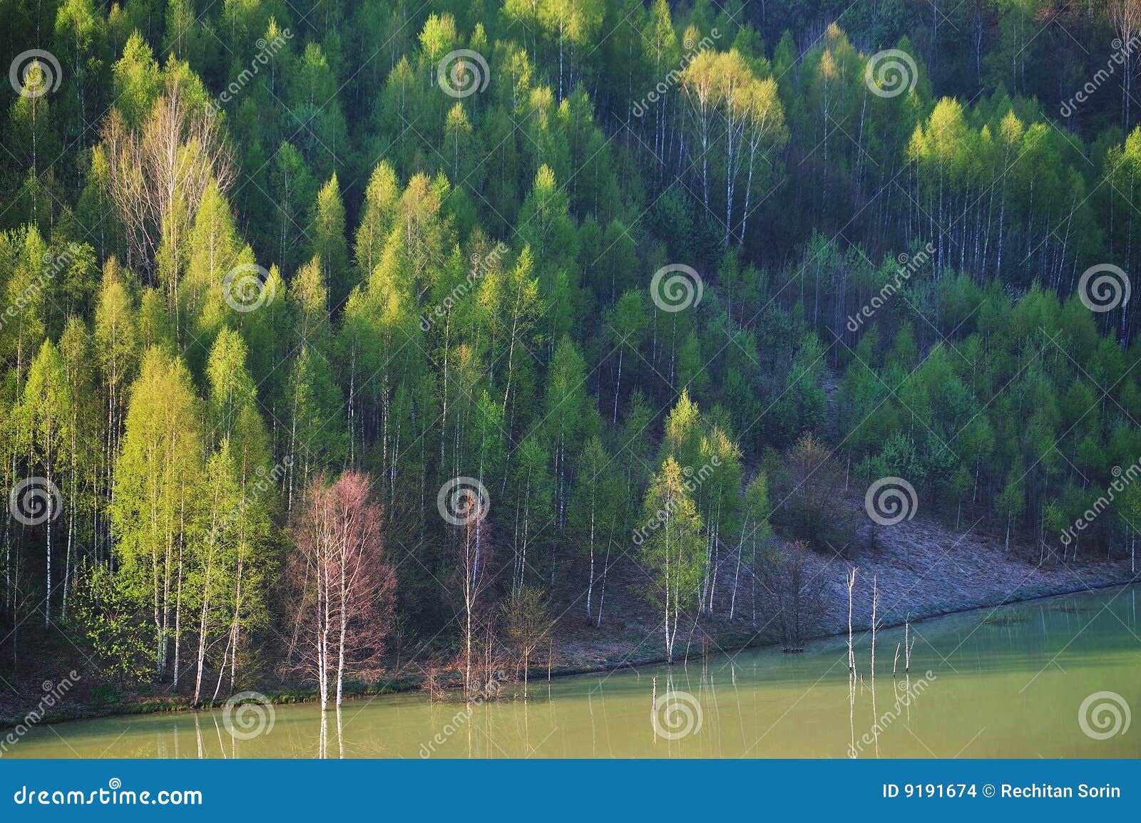 Water pollution stock photo. Image of global, nature, industry - 9191674
