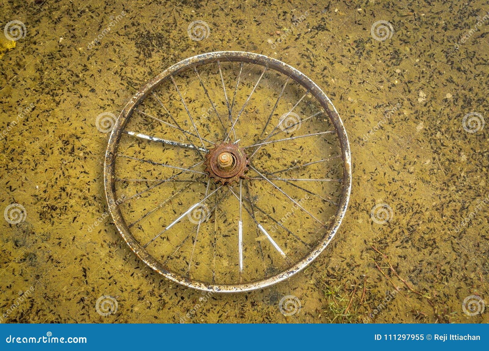 Rusty Bike Wheel in the Water. Stock Image - Image of antique, aluminum ...