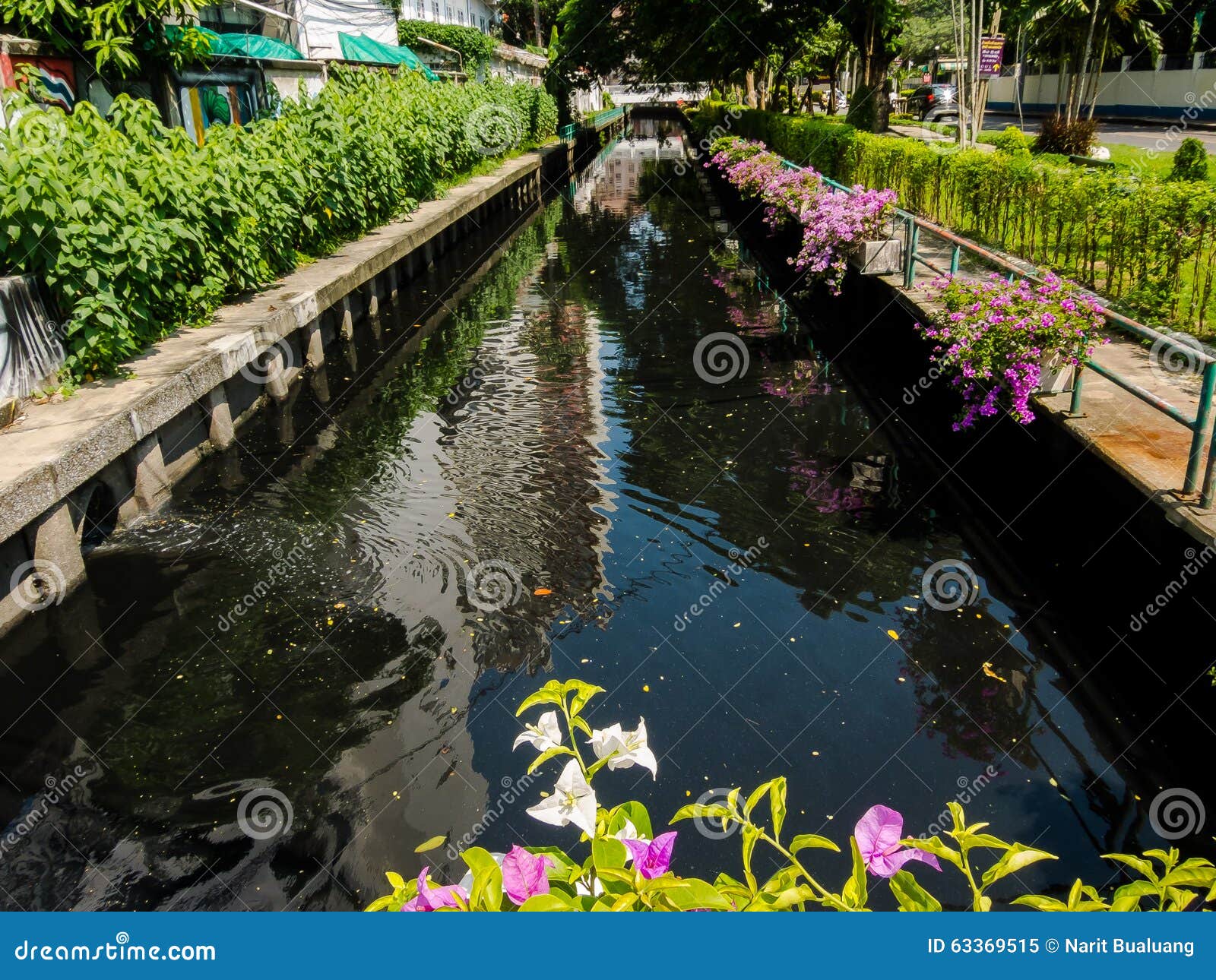 Water Pollution Royalty-Free Stock Photography | CartoonDealer.com ...
