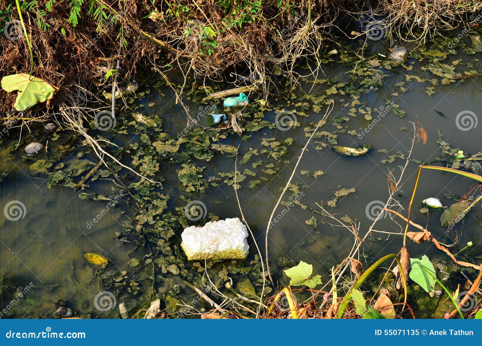 Water pollution stock image. Image of water, disgusting - 55071135