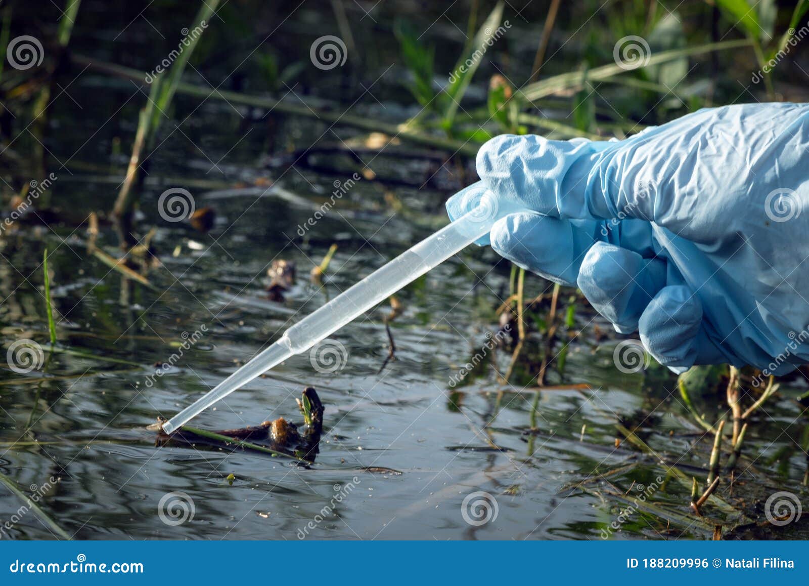 Water sampling stock photo. Image of experiment, environment - 188209996