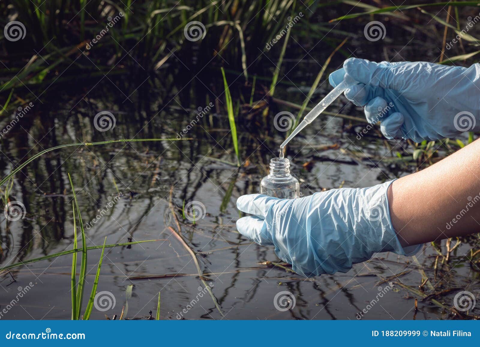 Water sampling stock image. Image of scrutiny, gloves - 188209999