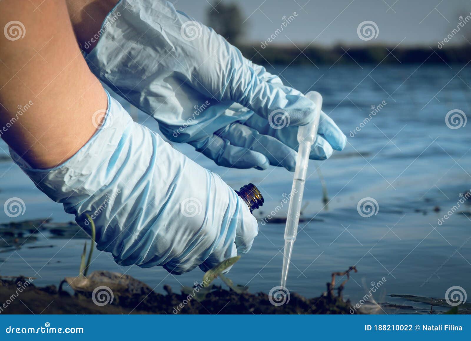 Water sampling stock photo. Image of gloves, nature - 188210022