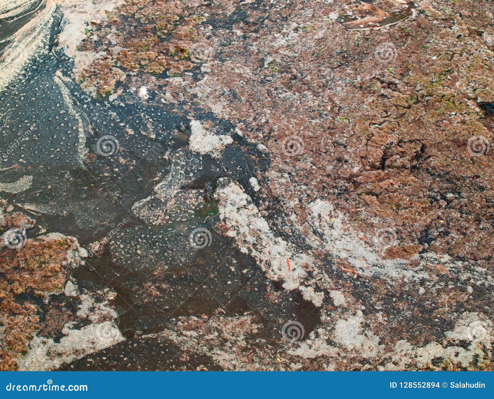 Water pollution stock photo. Image of dirt, color, texture - 128552894