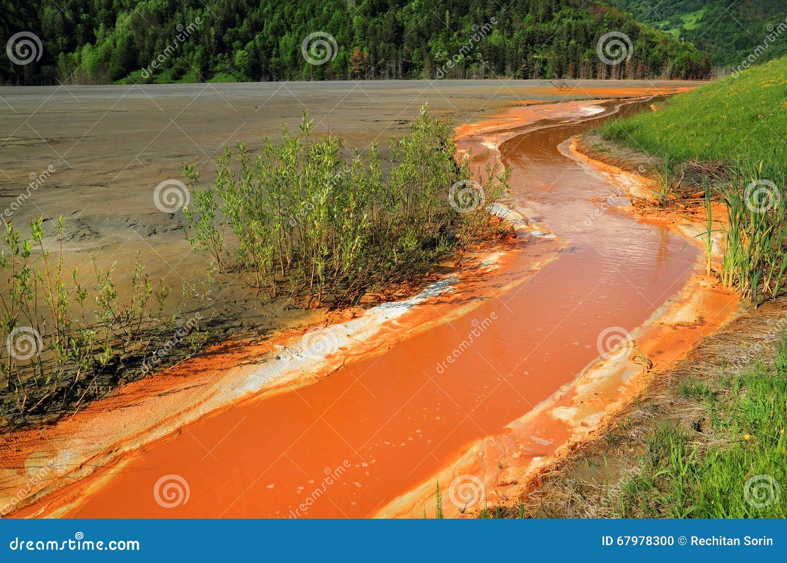 Water pollution stock photo. Image of environmental, petrochemical ...