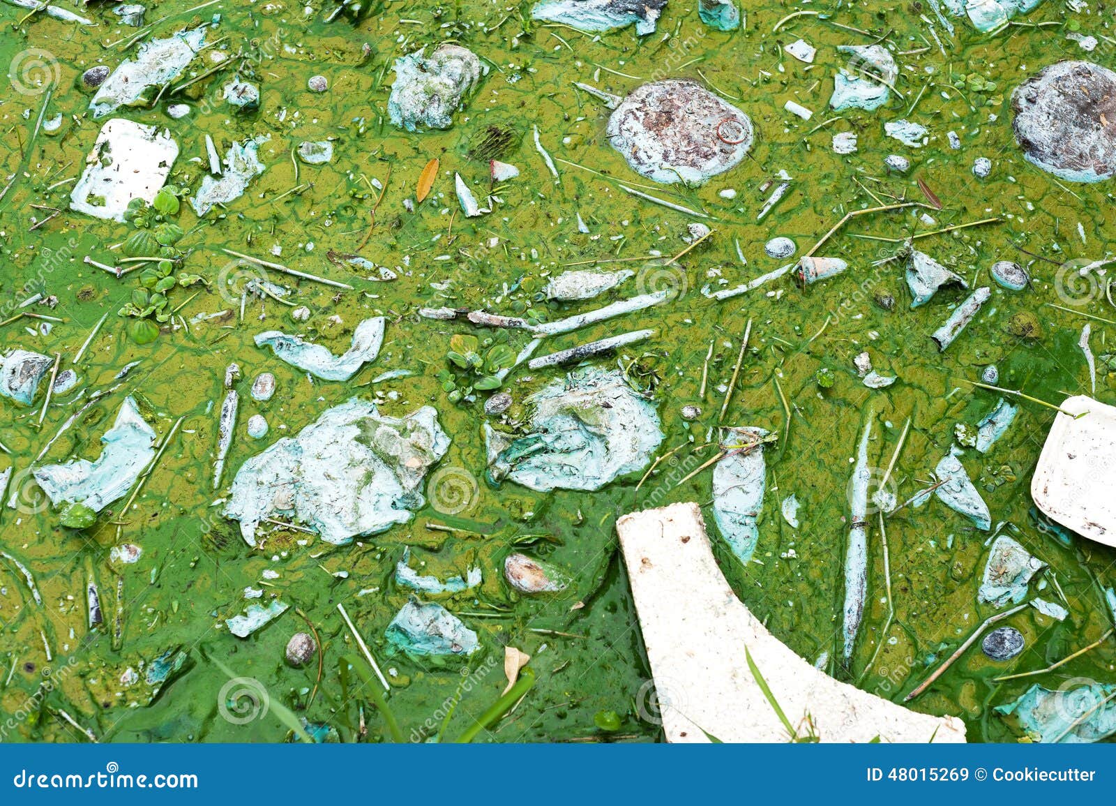 Water Pollution Feeling Not Good Stock Image - Image of large, group ...