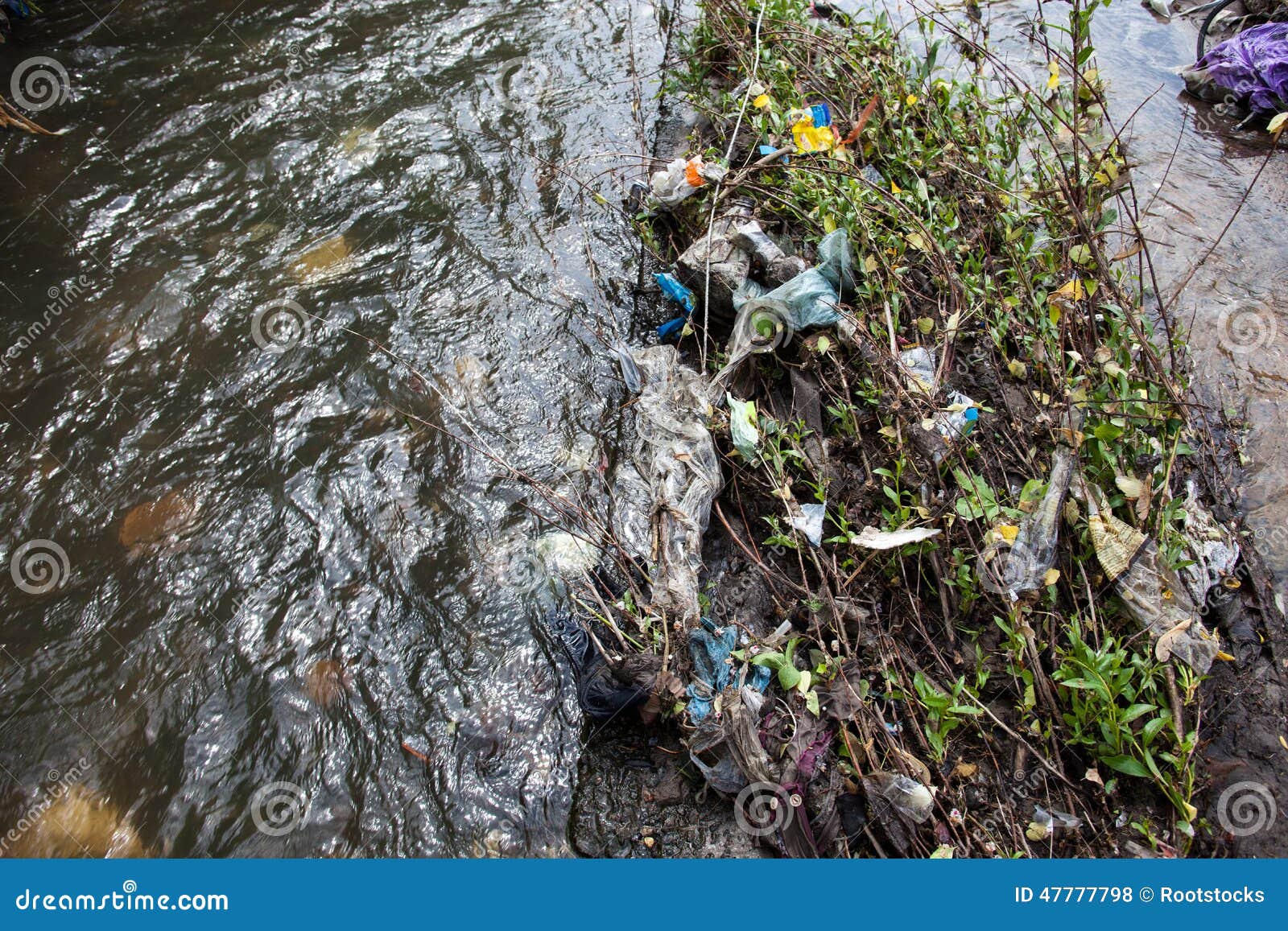 Water Pollution. Garbage in the Urban Stream Stock Photo - Image of ...