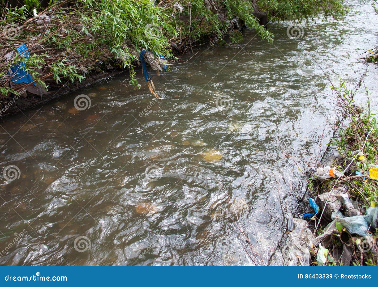 Water Pollution. Garbage on the Urban Stream Banks Stock Image - Image ...