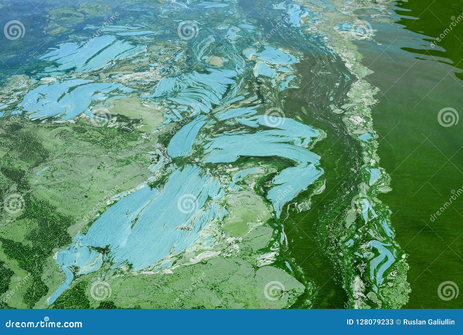 Water Pollution with Green Algae, Waste Water, Environmental Problems ...