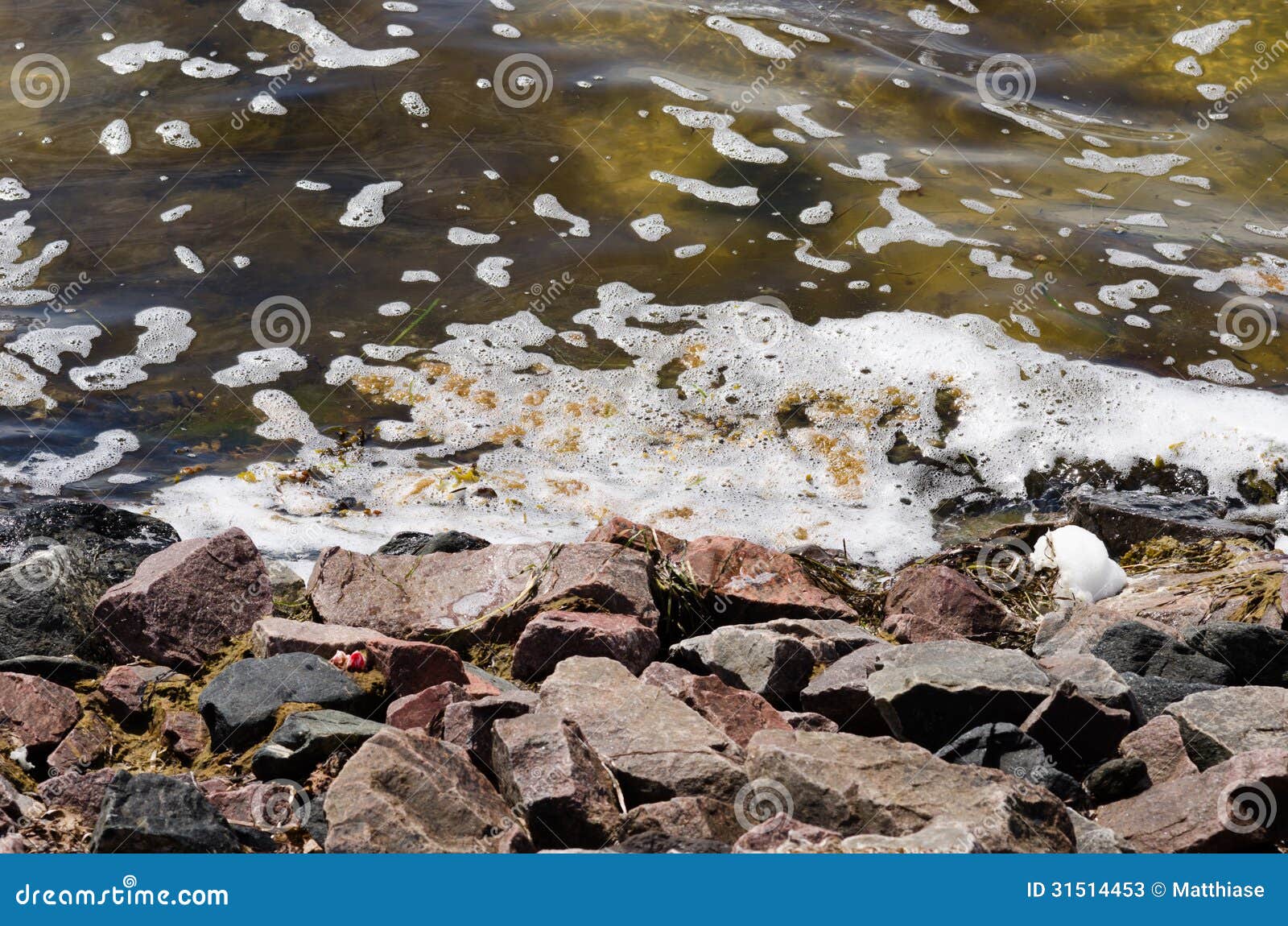 Water pollution stock image. Image of nature, shore, river - 31514453