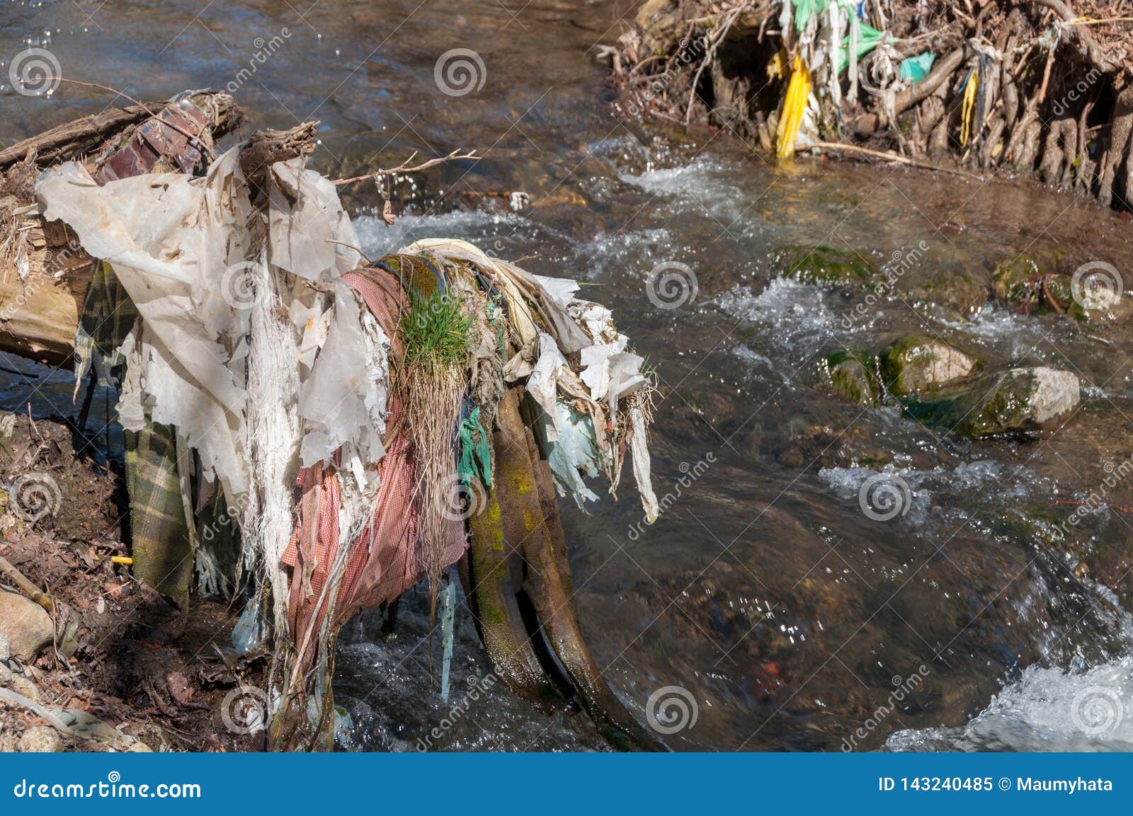 Plastic and Foam Garbage Floating on the Surface of the River Stock ...