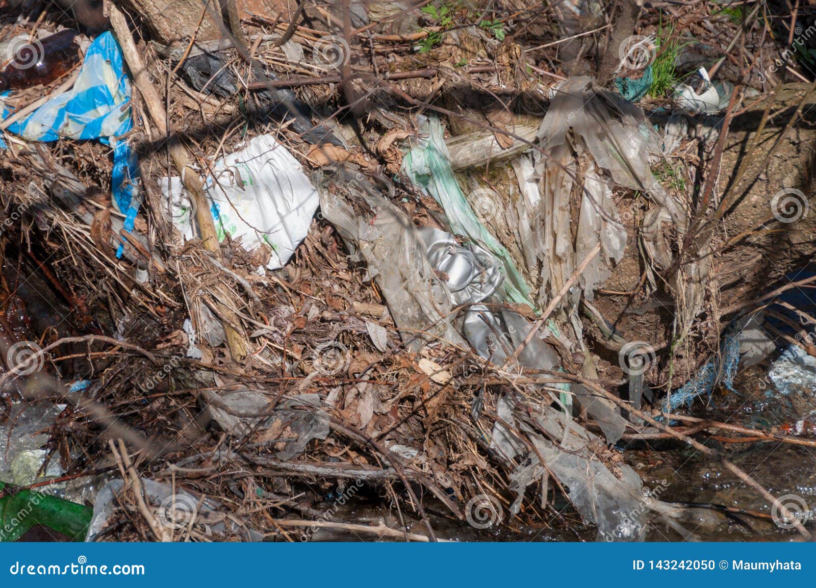 Plastic and Foam Garbage Floating on the Surface of the River Stock ...