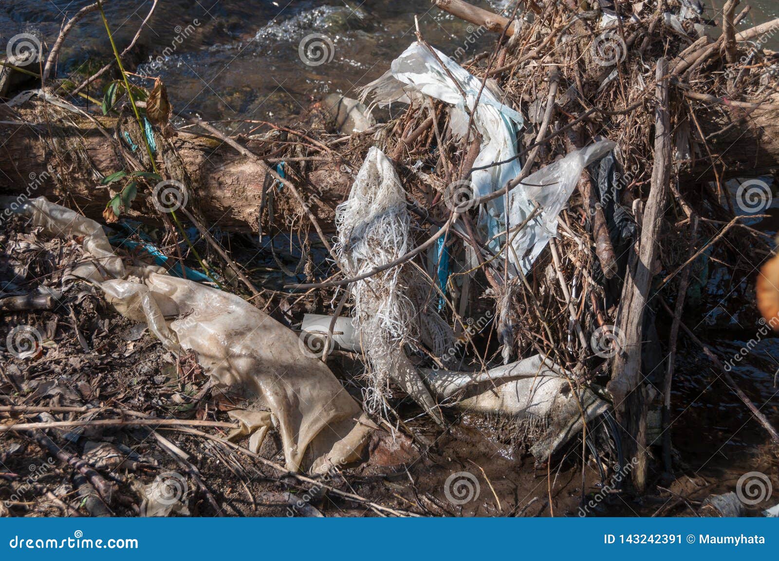 Plastic and Foam Garbage Floating on the Surface of the River Stock ...