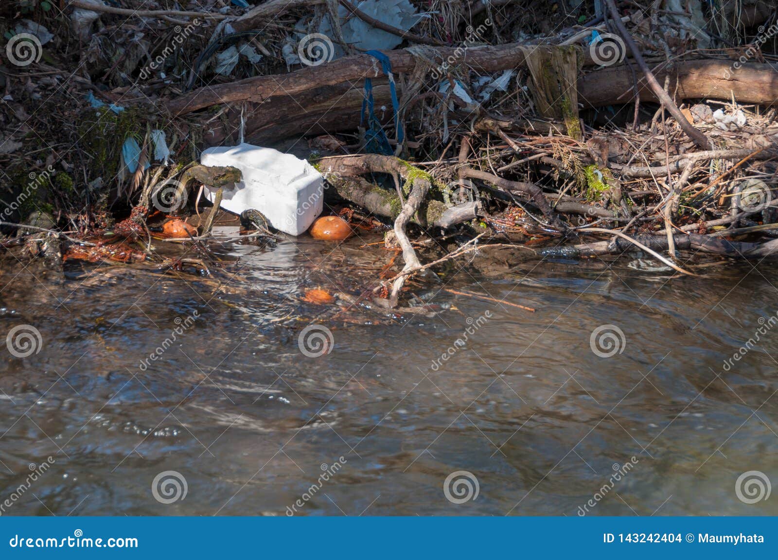 Plastic and Foam Garbage Floating on the Surface of the River Stock ...