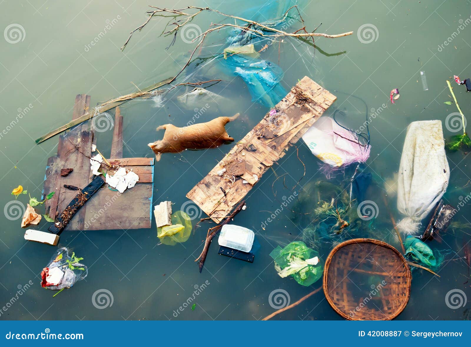 1,789 Stream Trash Stock Photos - Free & Royalty-Free Stock Photos from ...